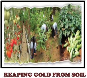 Basic Science Class 7 [Eng] – Meruvambayi MUPS